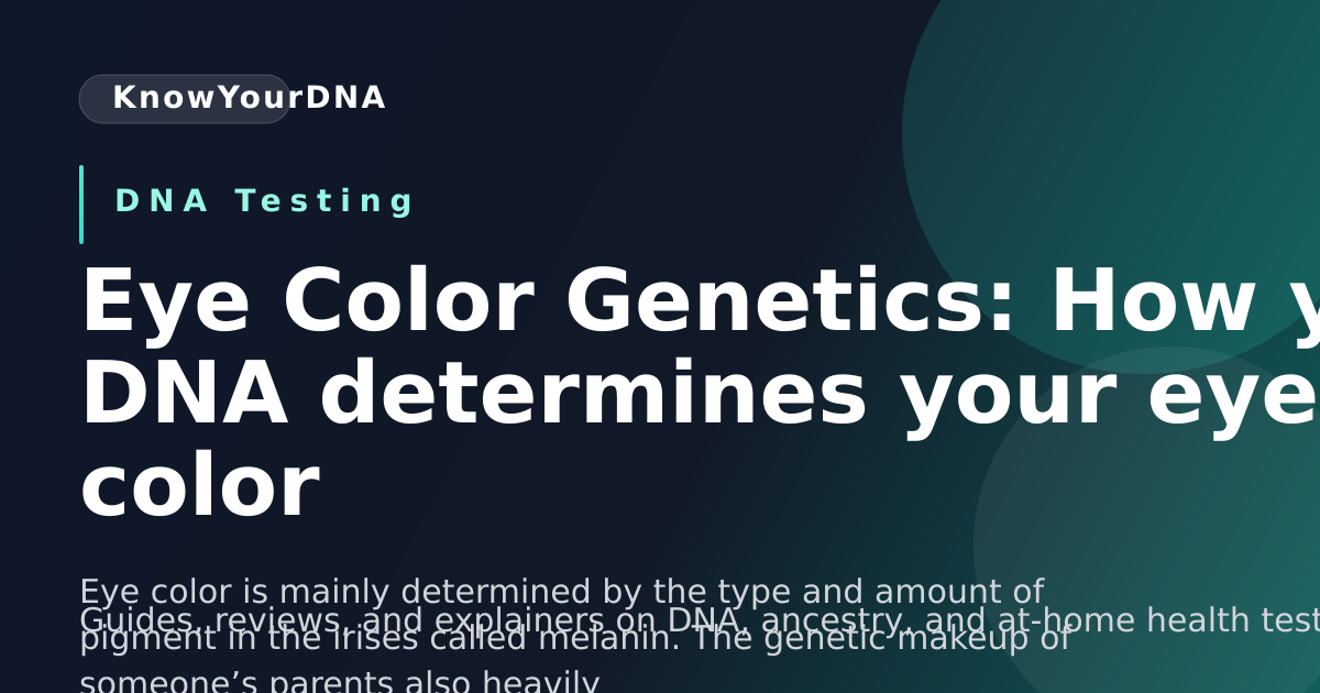 Eye Color Genetics: How your DNA determines your eye color