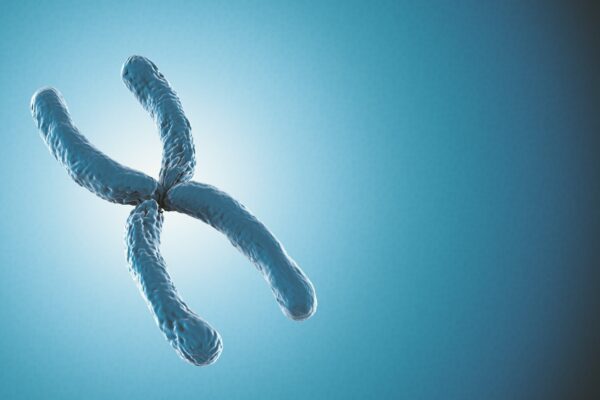 How Much Does Genetic Testing Cost? - KnowYourDNA